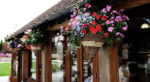 Ferring Nurseries Blog